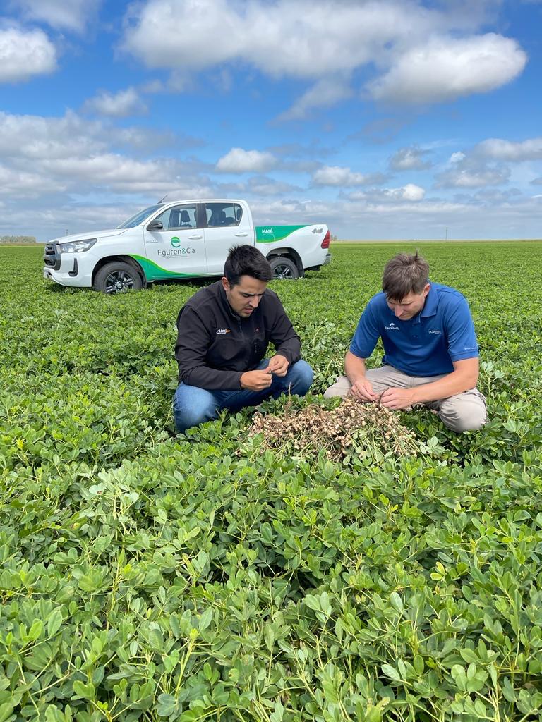 🌱 Así hacemos maní en General Villegas - AgroPro