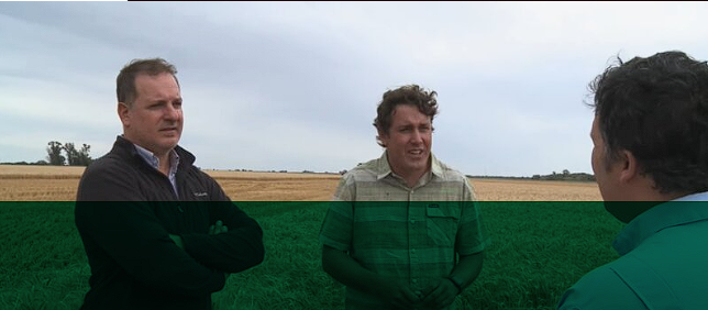 Cómo cosechar resultados extraordinarios - AgroPro