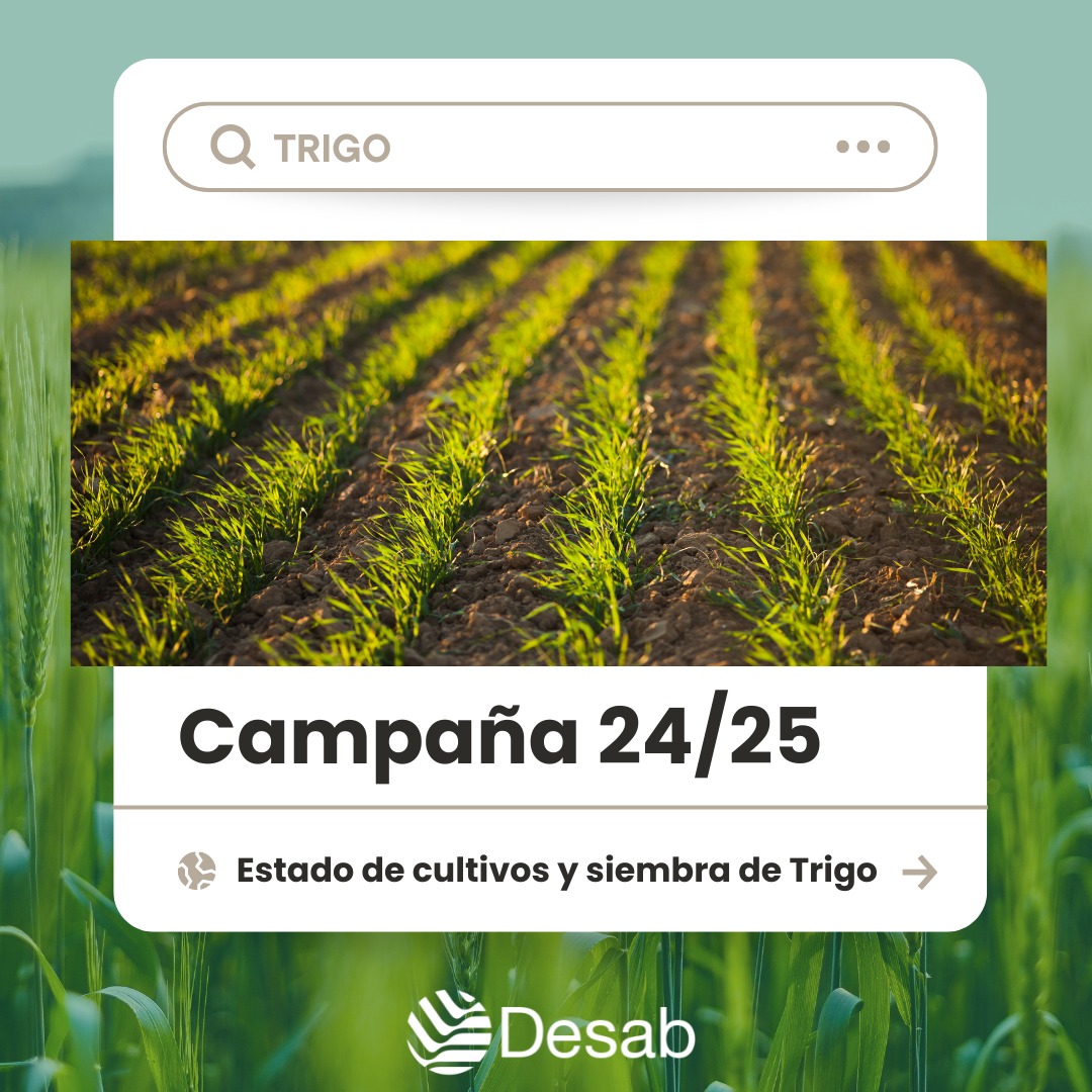 CAMPAÑA 24/25 - AgroPro