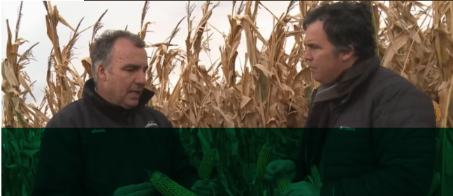 Tecnología, nutrición e intensificación - AgroPro