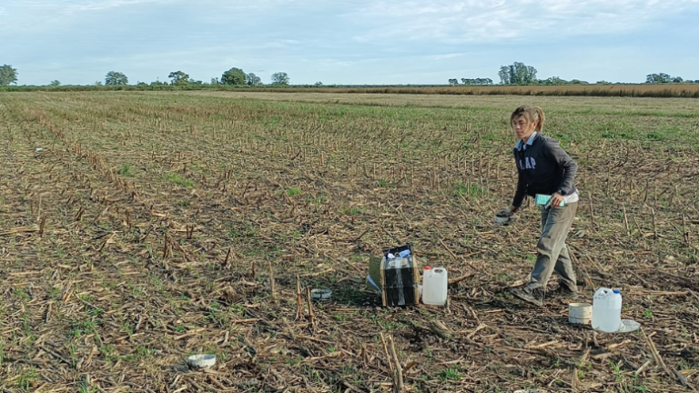Intensificación agrícola: Cómo mejorar los suelos con más cultivos - AgroPro
