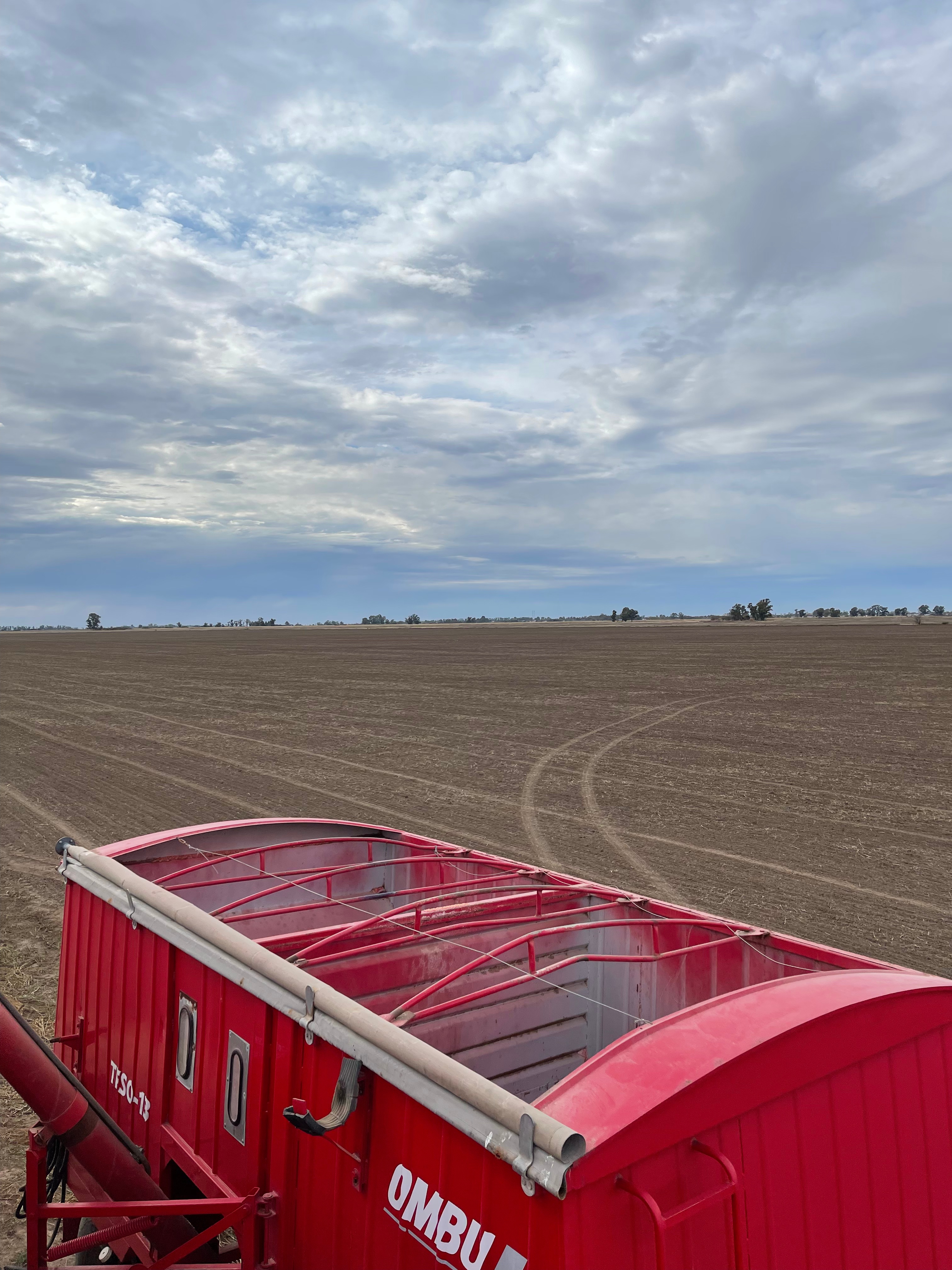 🌱 Situación actual y perspectivas de la soja Argentina - AgroPro